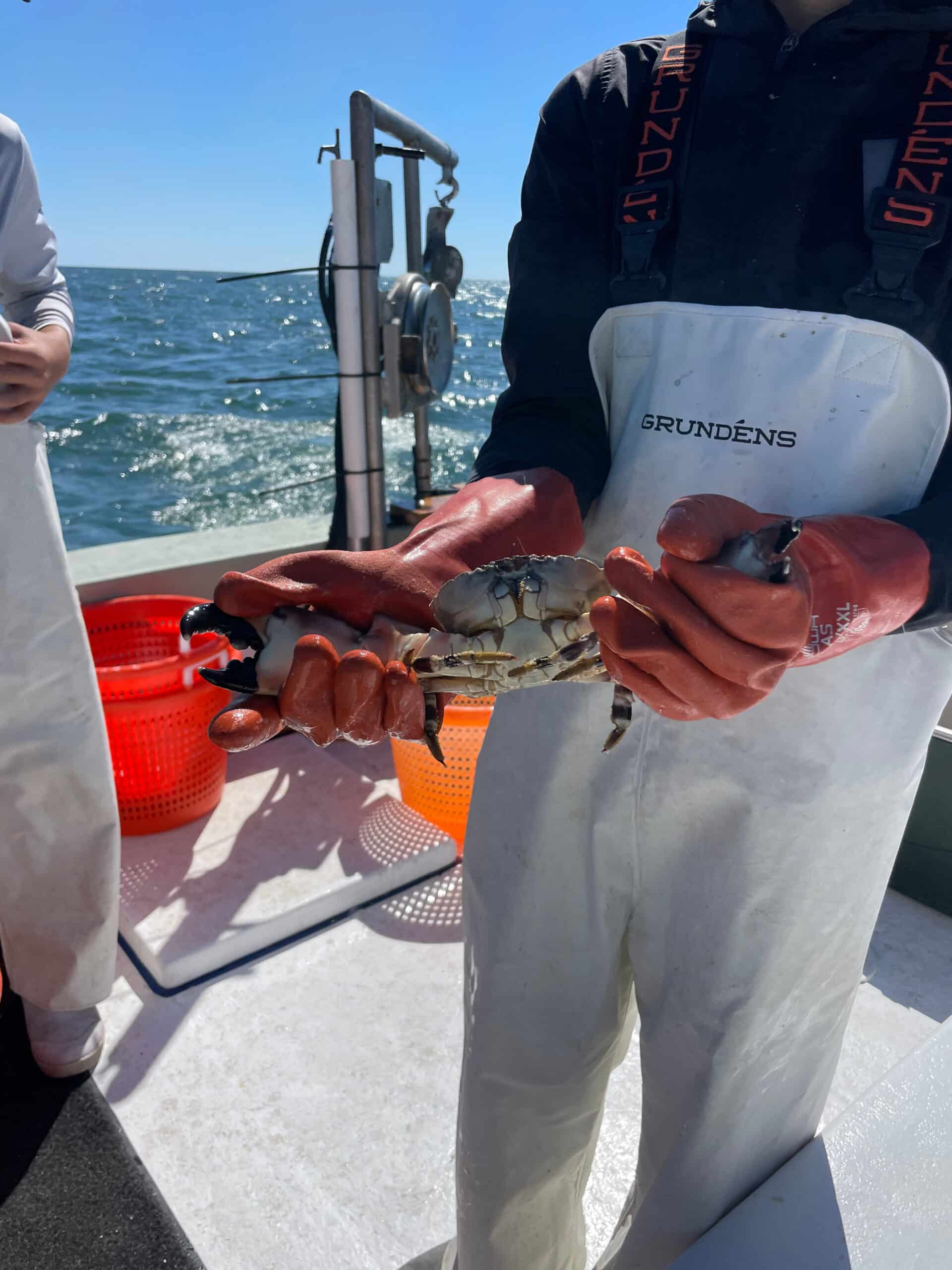 Cortez Stone Crab & Music Festival 2022 - AMI Rentals